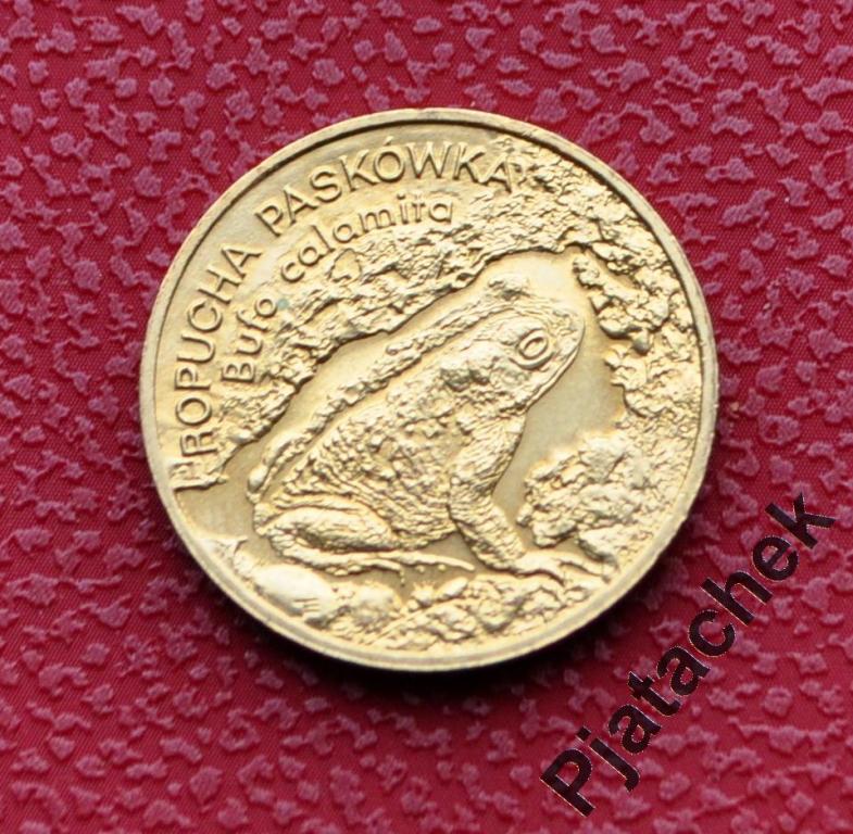 2 злотых 1998 г Камышовая Жаба — Купуйте на Newauction.org за вигідною ціною. Лот у ...