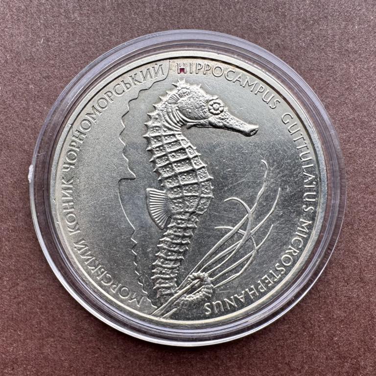 2 гривні 2003 р. Морський коник — Купуйте на Newauction.org за вигідною ціною. Лот у м. Київ ...