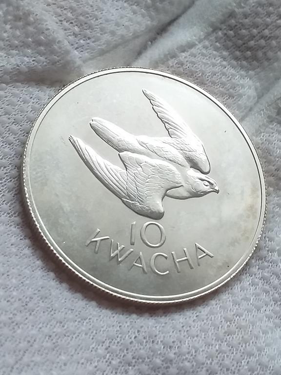 Замбія 10 квача 1979 Короткохвостий сокіл aUnc-Unc срібло — Купуйте на Newauction.org за ...